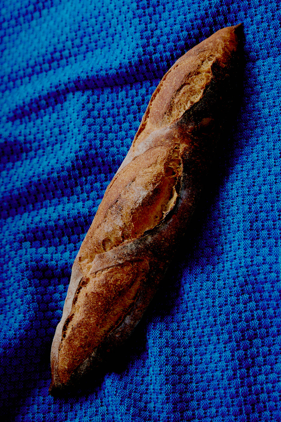 BLUE JAM TEXTURE – CURIOPRACTICE